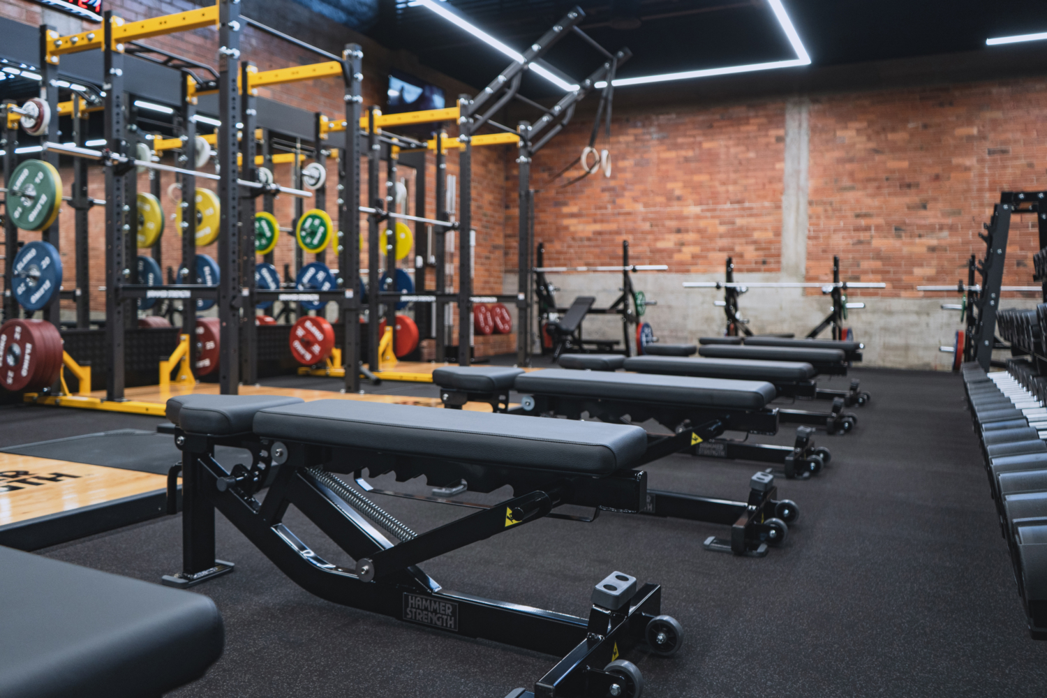 Hammer Strength - Life Fitness NZ