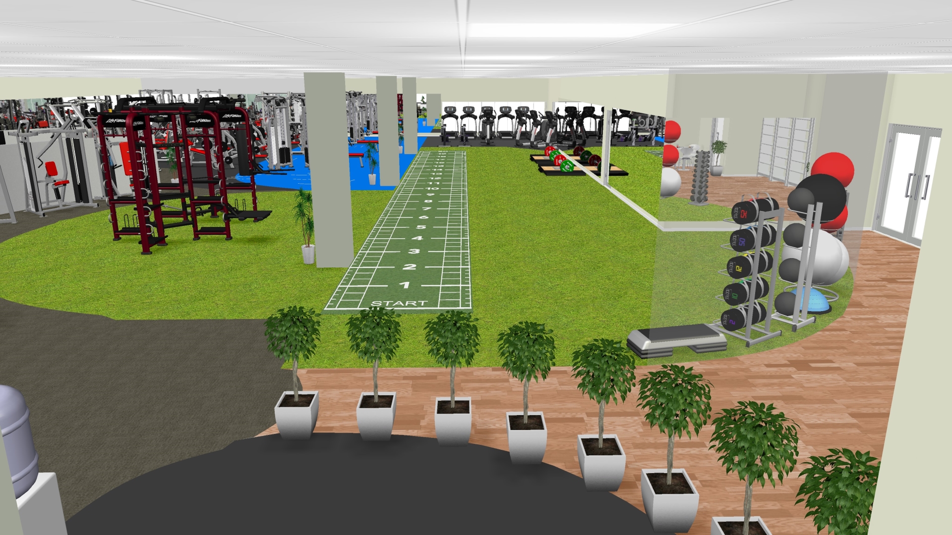 Layout Experts - Life Fitness NZ