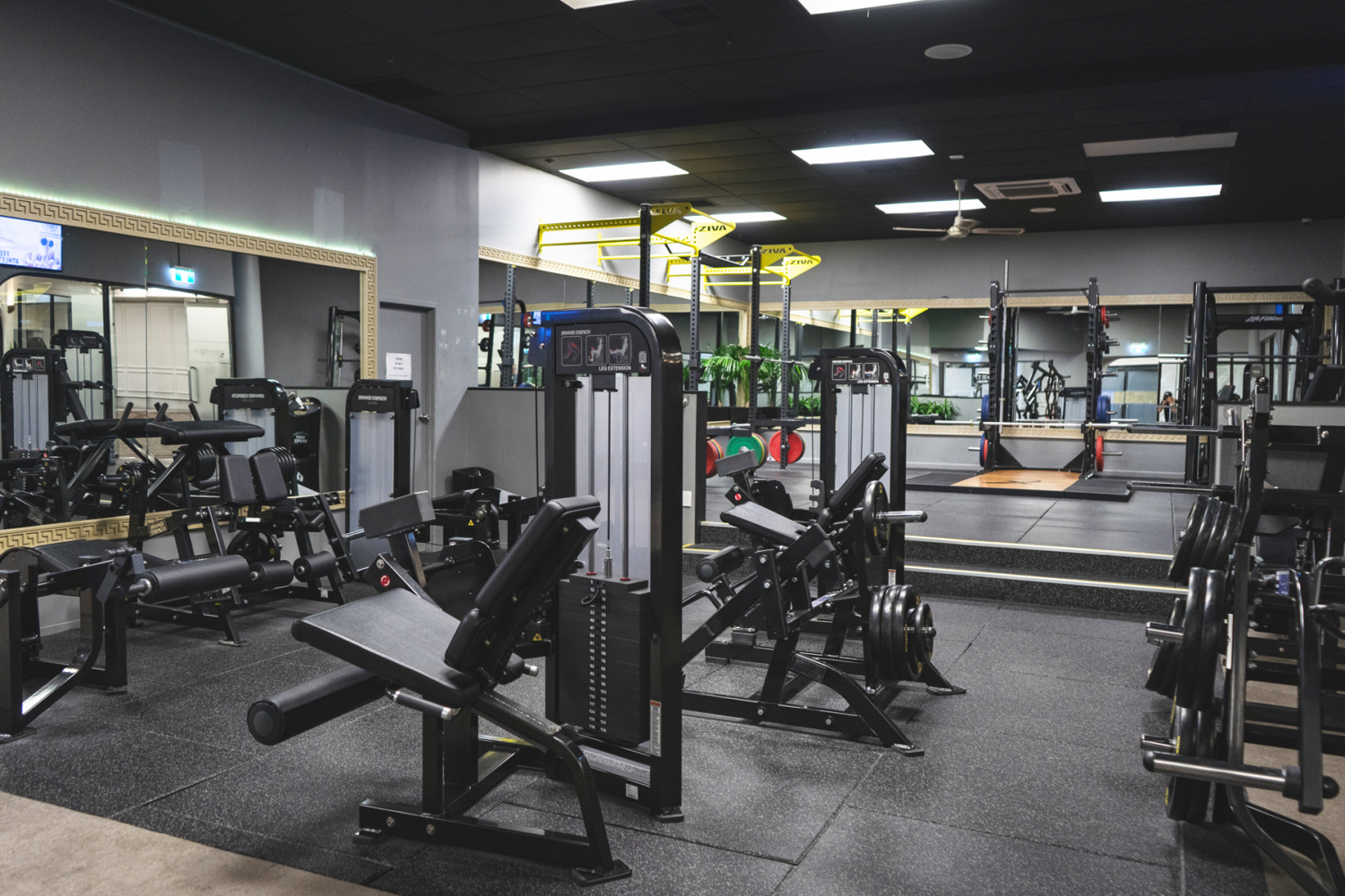 Hammer Strength Pin-Loaded Machines - Life Fitness NZ