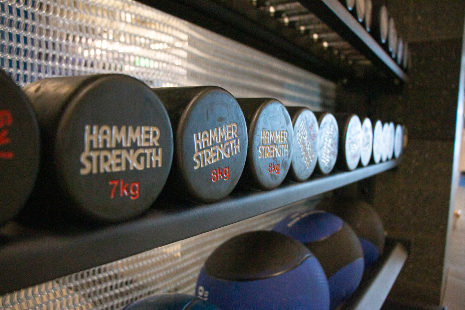 Pin-Loaded Strength - Life Fitness NZ