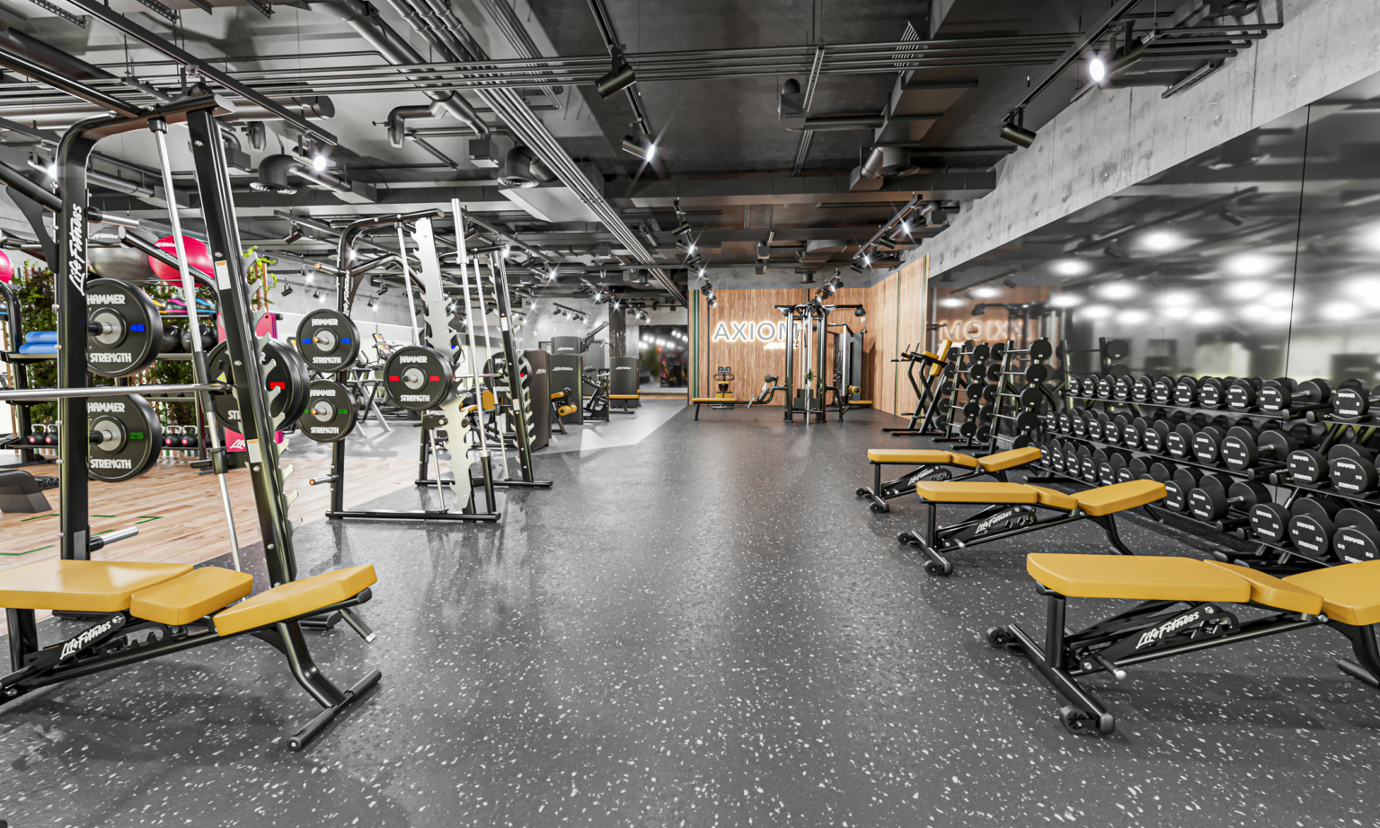 Racks, Rigs & Benches - Life Fitness NZ