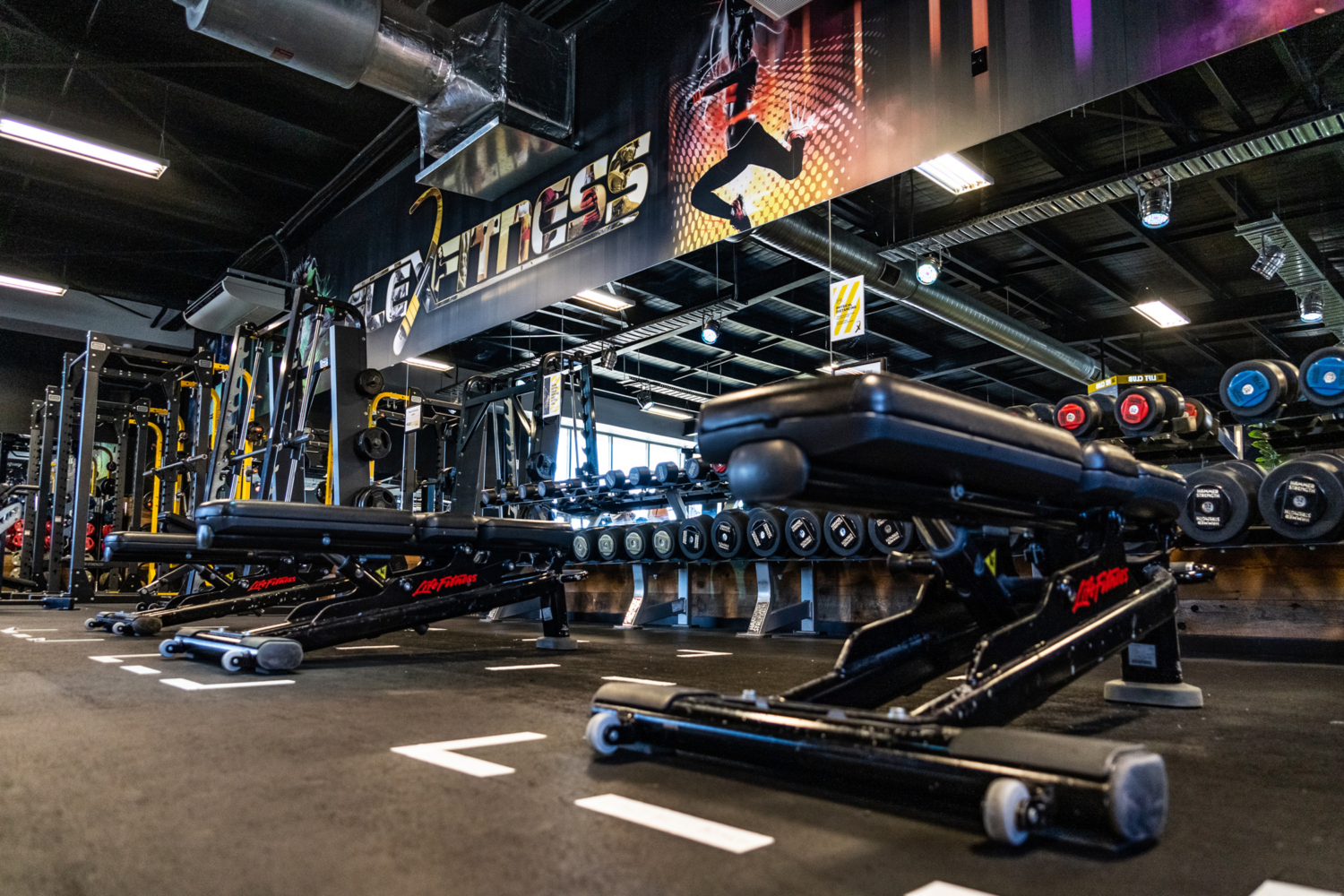 Flex Fitness Te Rapa - Life Fitness NZ