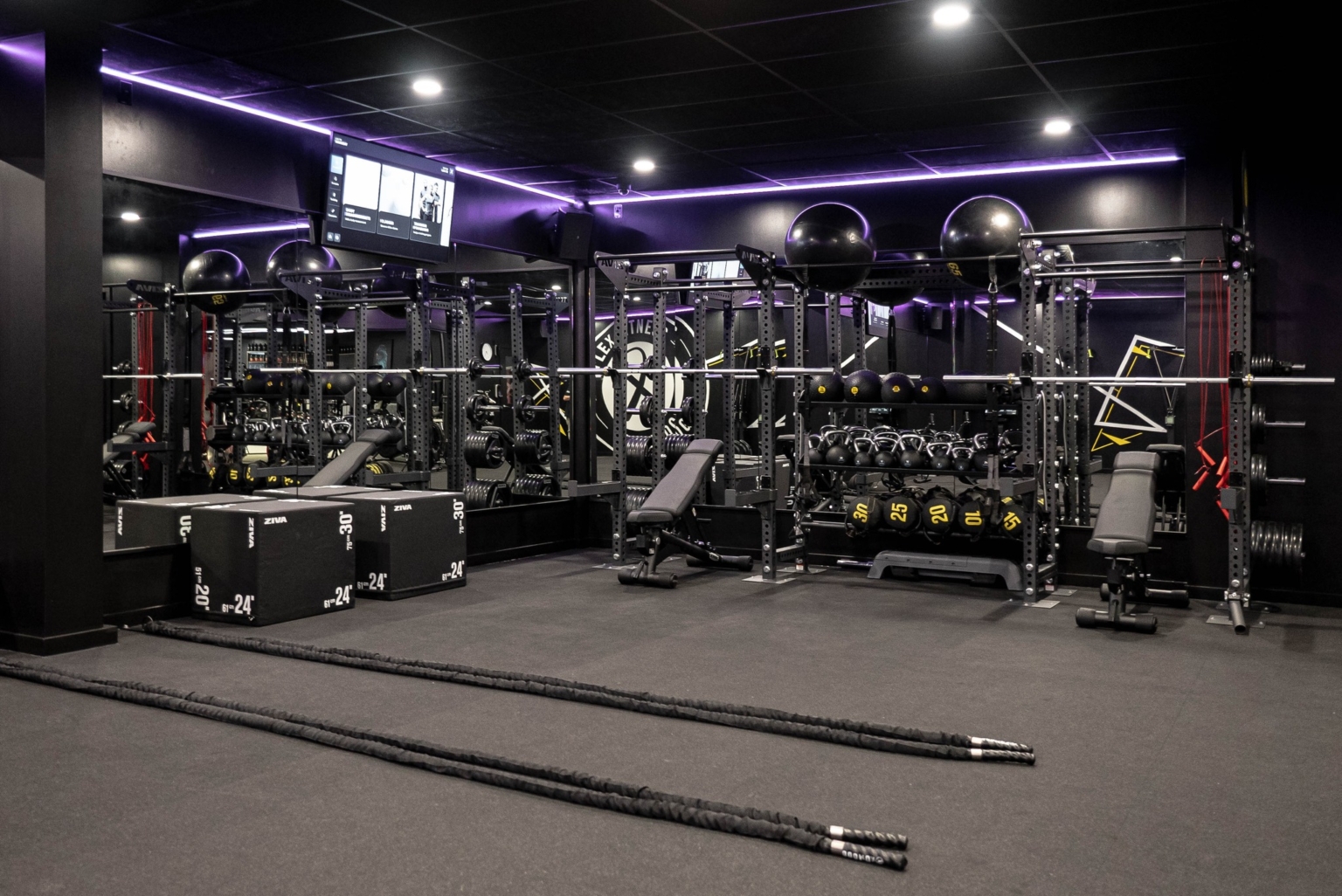 Flex Fitness Gym Showcase - Life Fitness NZ