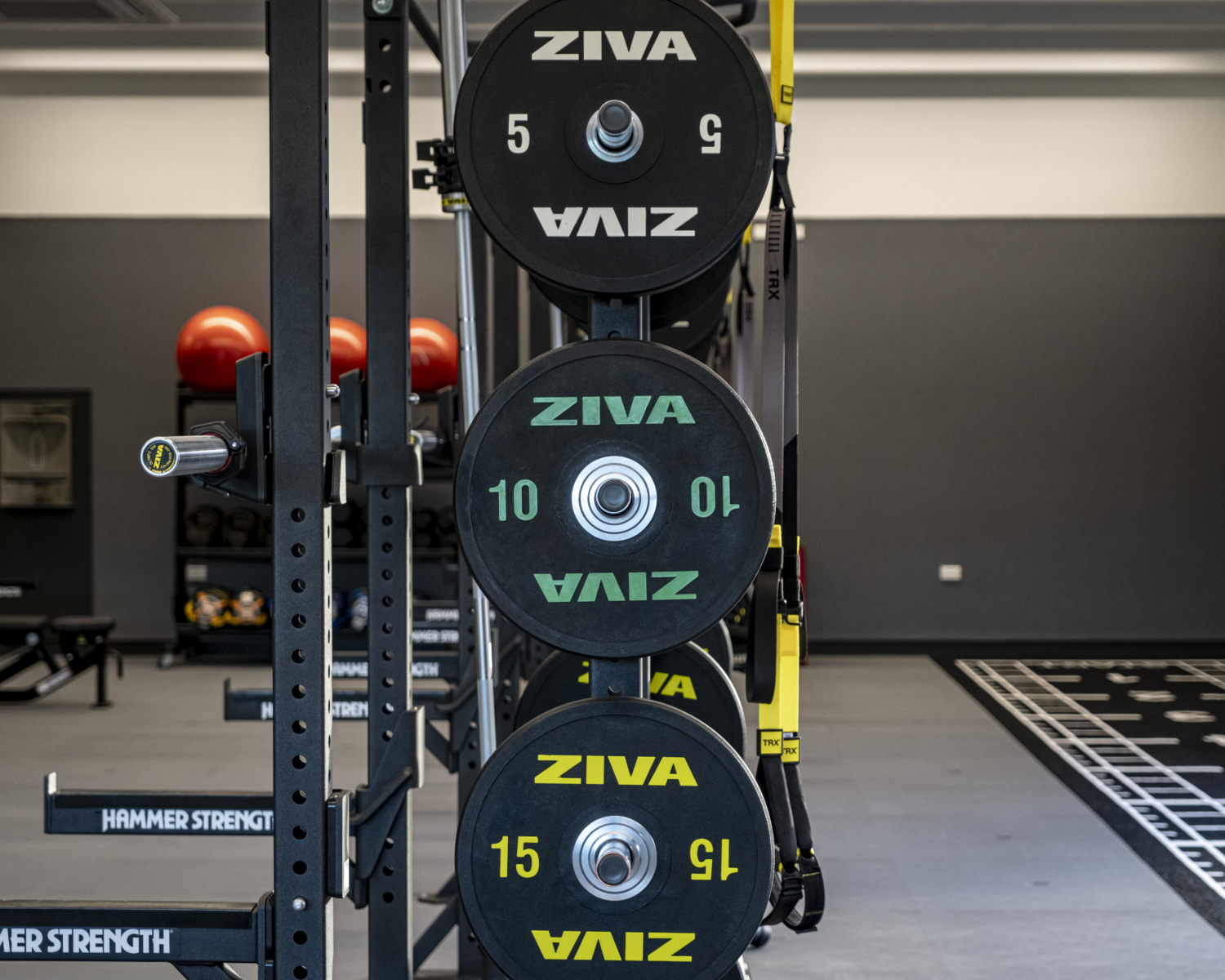 Christ College - Life Fitness NZ