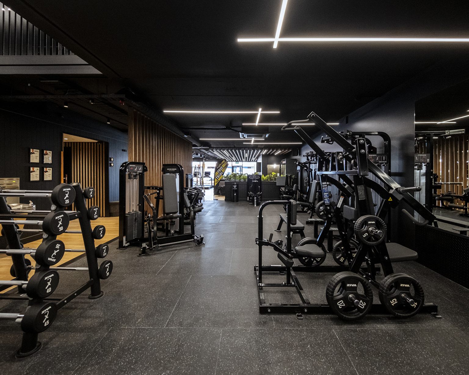 Flex Fitness Gym Showcase - Life Fitness NZ
