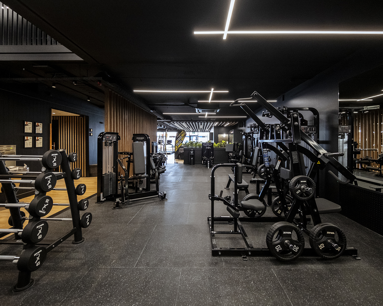 Flex Fitness Gym Showcase - Life Fitness NZ
